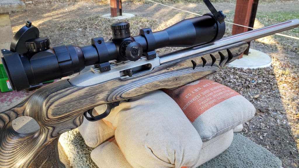 Step-by-Step Guide to Mounting Our Ruger 10/22 Scope – Get Hunt-Ready ...